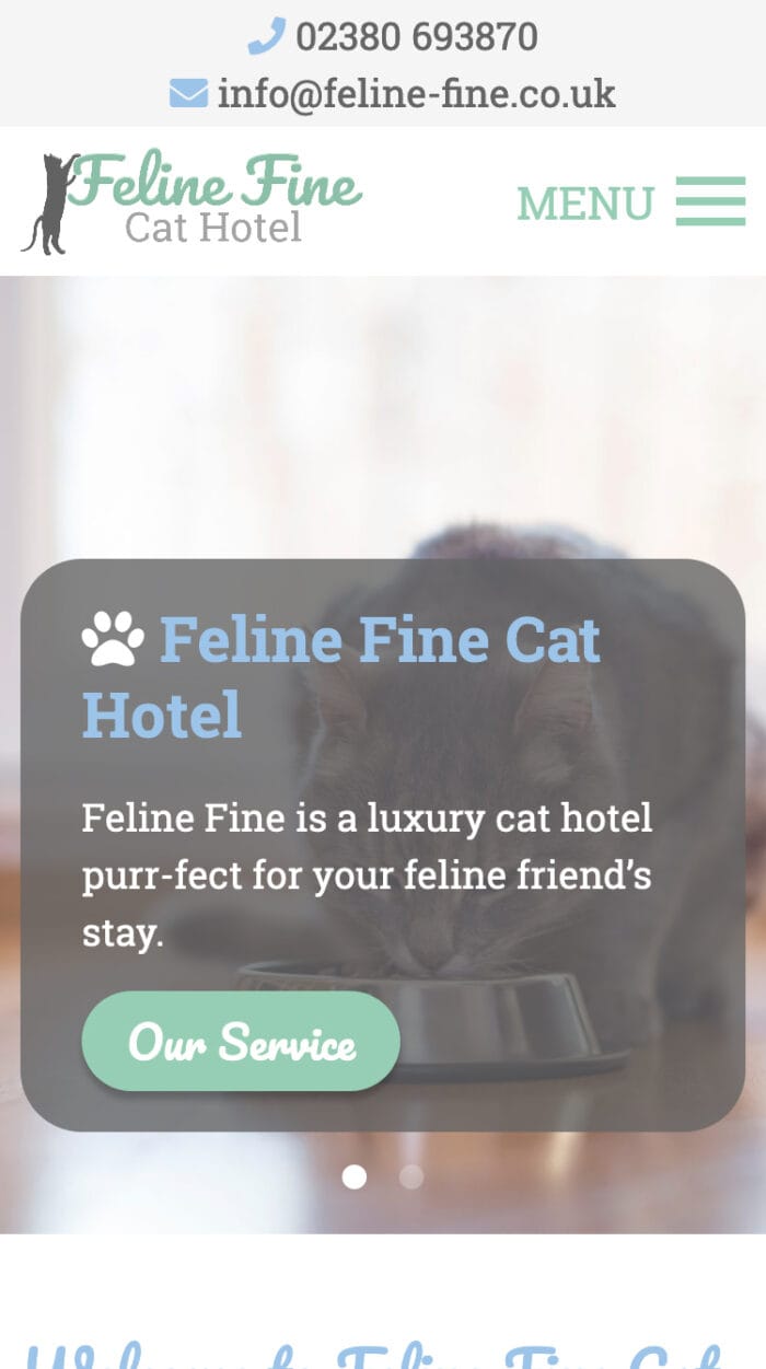 Web Design Horton Heath, Hampshire, Feline Fine Cat Hotel